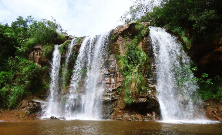 Parque Nacional Amboró, maravillas naturales en Bolivia - Pueblos de ...